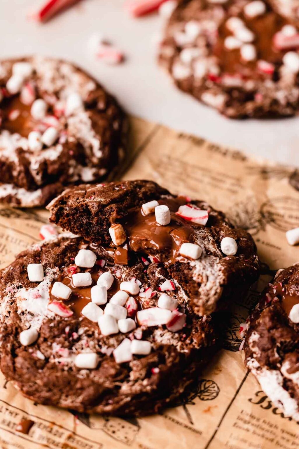 Hot chocolate cookies - Flouring Kitchen